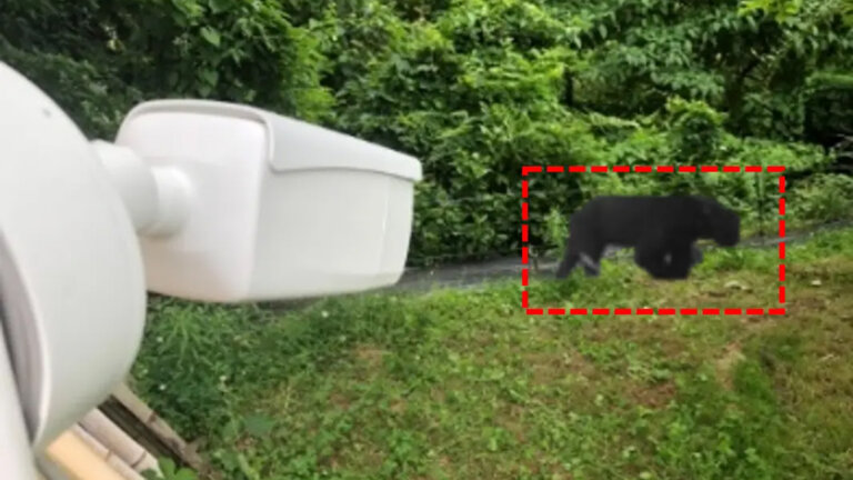 ダイワ通信、クマ検知AIカメラソリューション「Face Bear」のレンタル開始 | IoTNEWS